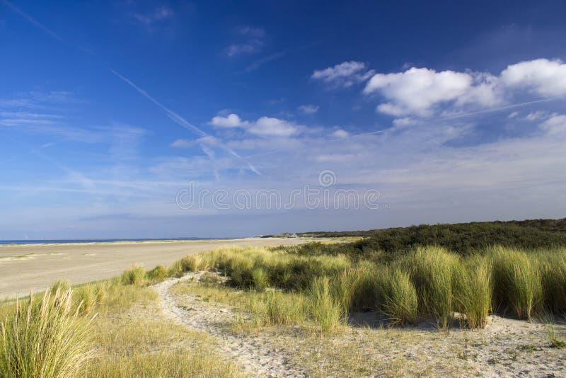 The Dunes, Renesse, the Netherlands Stock Photo - Image of nature ...