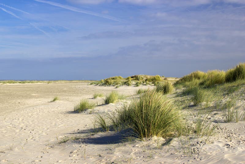 The Dunes, Renesse, the Netherlands Stock Photo - Image of leisure ...