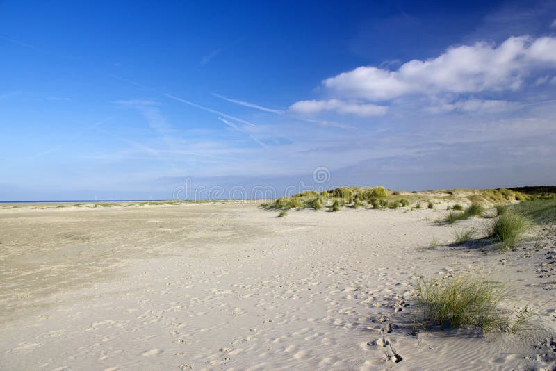 The Dunes, Renesse, Zeeland, the Netherlands Stock Image - Image of ...