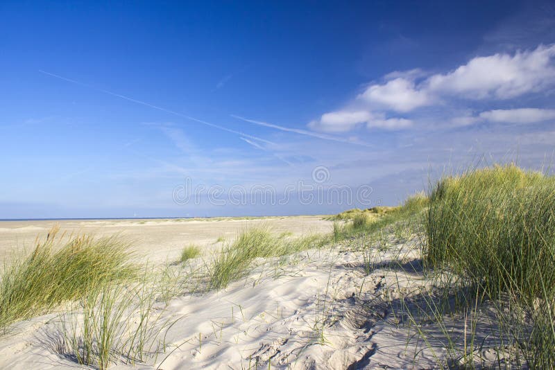 The Dunes, Renesse, Zeeland, the Netherlands Stock Image - Image of ...