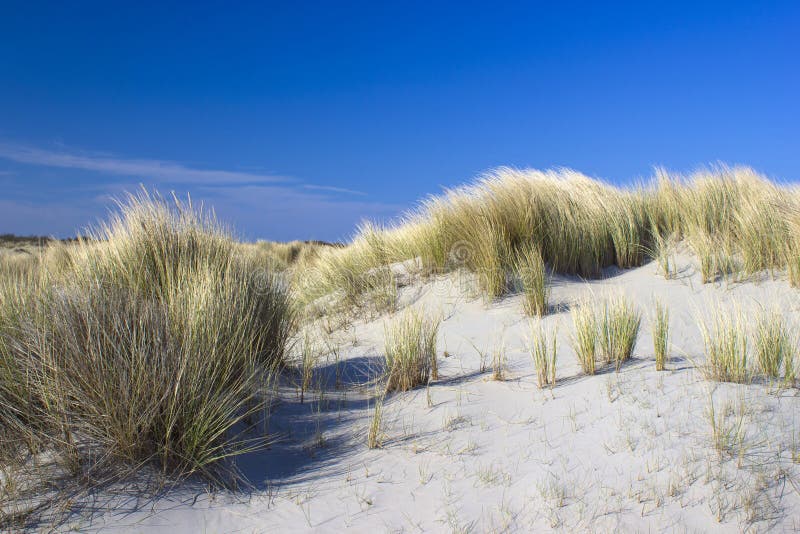 The Dunes, Renesse, Zeeland, the Netherlands Stock Photo - Image of ...