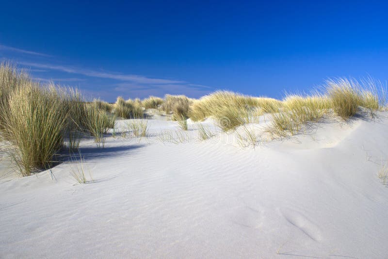 The Dunes, Renesse, the Netherlands Stock Photo - Image of landscape ...