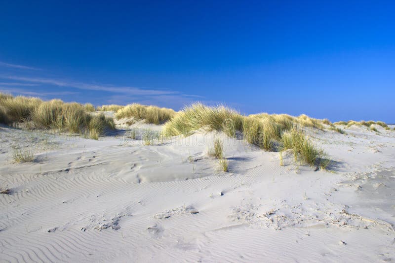 The Dunes, Renesse, Zeeland, the Netherlands Stock Image - Image of ...