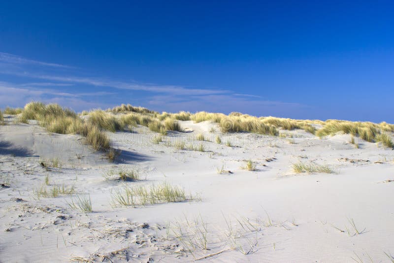 The Dunes, Renesse, the Netherlands Stock Photo - Image of northsea ...
