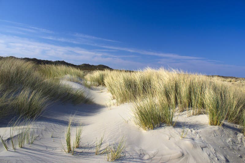 The Dunes, Renesse, the Netherlands Stock Image - Image of idyllic ...
