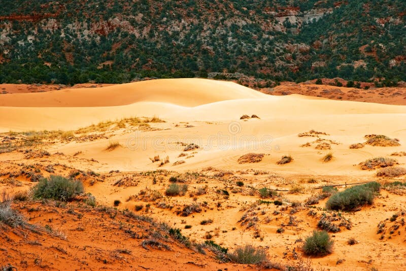 Ciel De Sable De Rose De Dune D'ander Photo stock - Image du coins ...