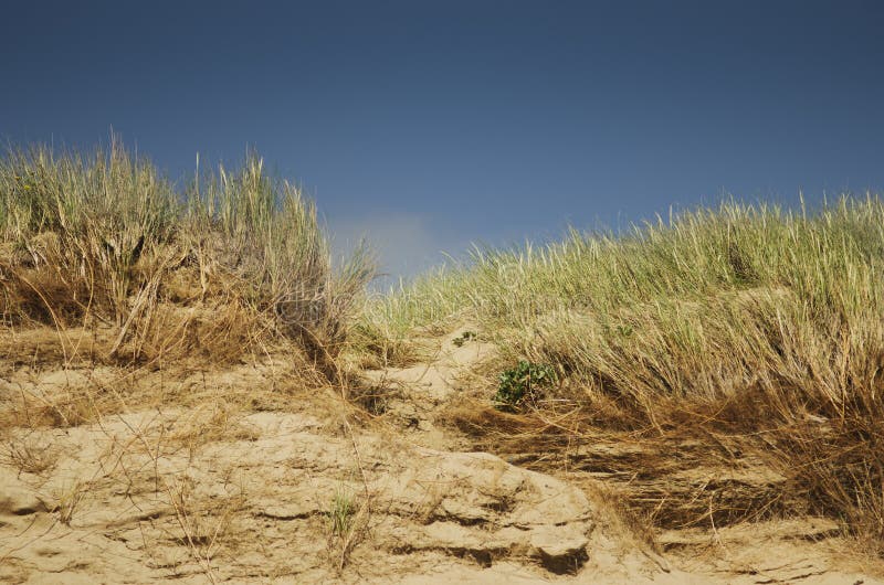 Dunes of Sand and Grass, Nature Backgrounds with Skyline, UK Stock ...