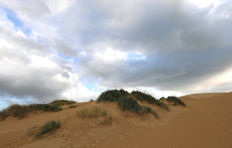 Desert Environment in La Pampa Province, Stock Image - Image of arid ...
