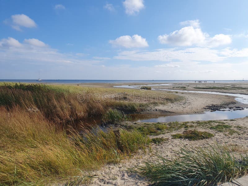 Dunes, Summer, Sand, Beach, Water, Ocean Stock Photo - Image of water ...