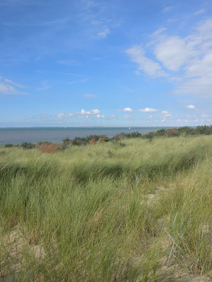 Dunes stock image. Image of dunes, fresh, blows, wind - 114791993