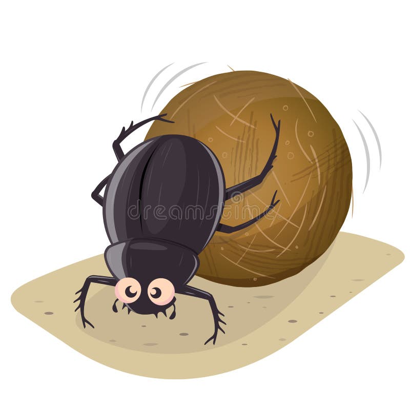 53+ Dung beetle dung Free Stock Photos - StockFreeImages