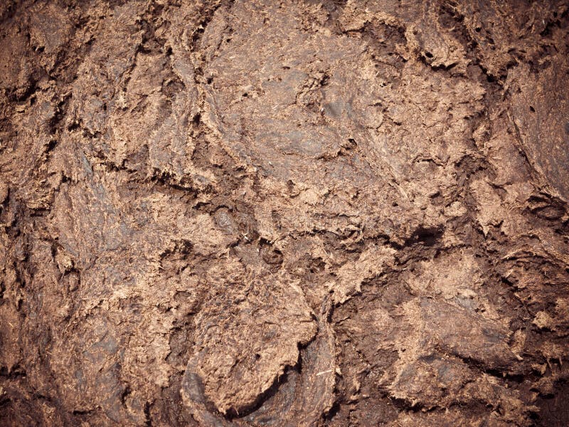 Dung of buffalo background stock image. Image of dung - 40054655