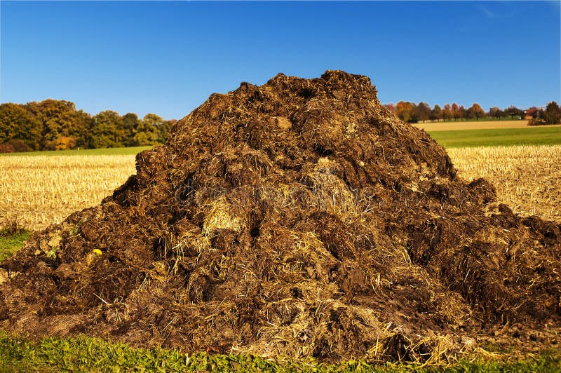 Animal Dung stock photo. Image of fertilize, dung, pile - 14609460