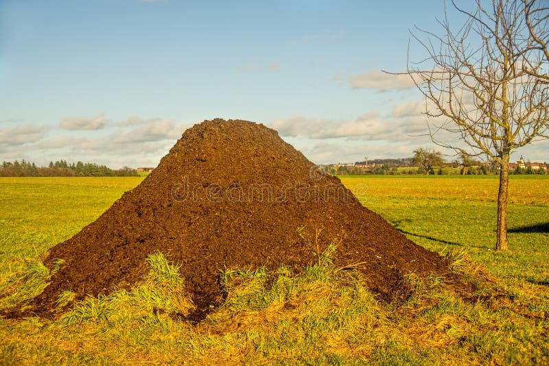 Dung hill in a meadow stock photo. Image of dung, clouds - 107948182