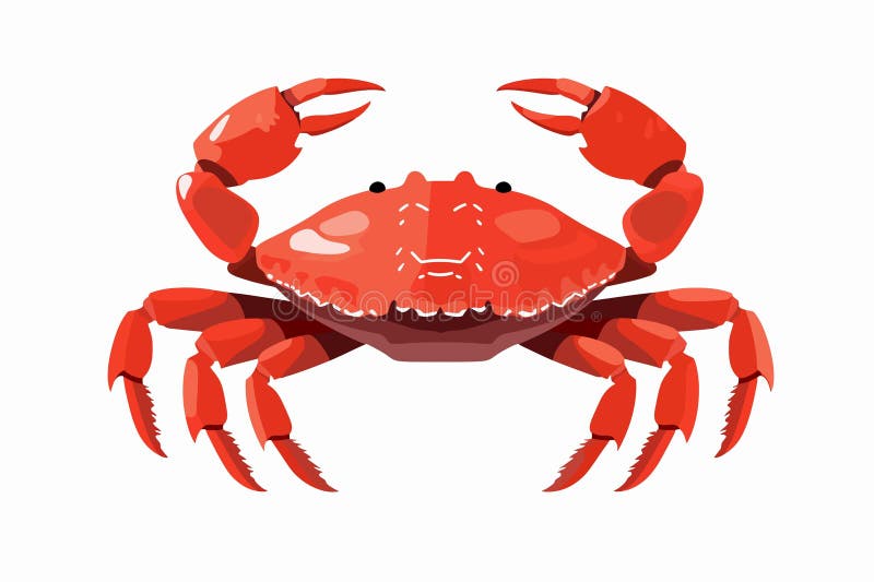 Dungeness Crab Isolated Vector Style Illustration Stock Vector ...