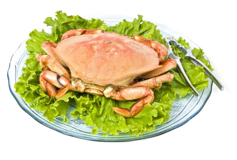 Dungeness Crab stock image. Image of dungeness, plate - 5974099