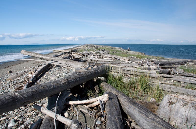 Dungeness Spit Sequim, Washington Stock Image - Image of blues ...