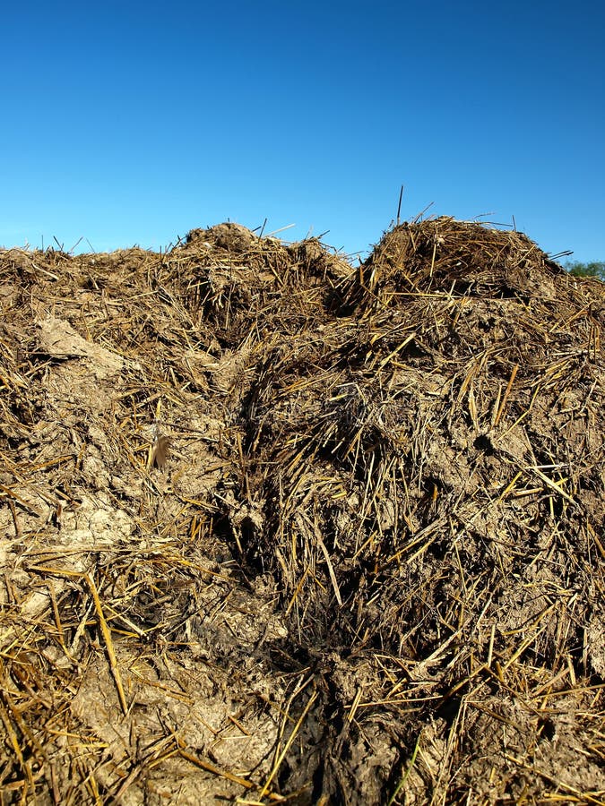 Dunghill stock photo. Image of biologic, nature, dung - 11018606