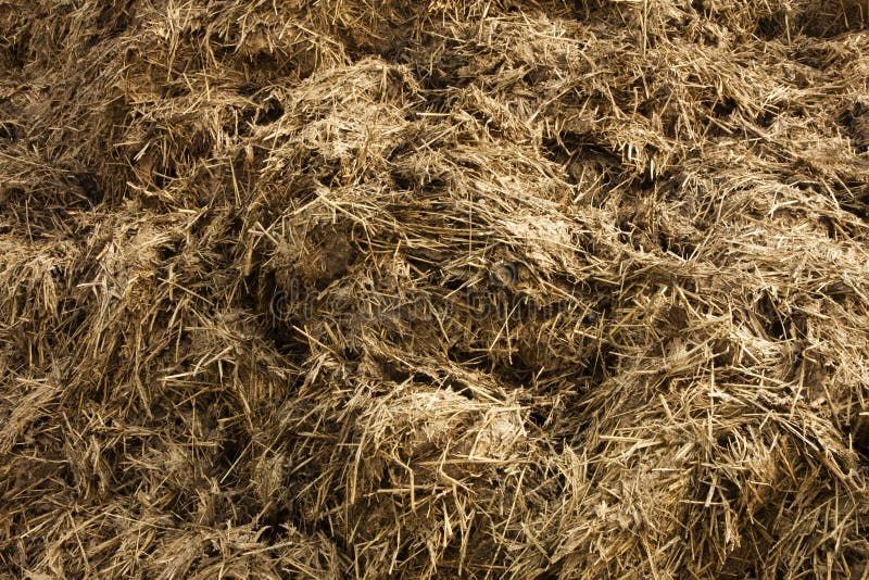Dunghill stock image. Image of fertilizer, farm, breeding - 70822815