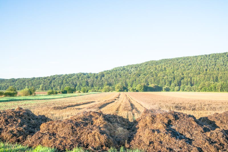 Dung hill stock image. Image of muck, grain, pile, mucky - 18835707