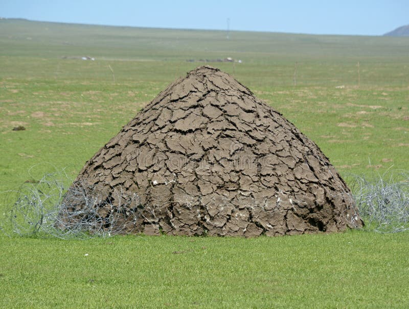 Dunghill in the Grassland stock photo. Image of grassland - 73727530