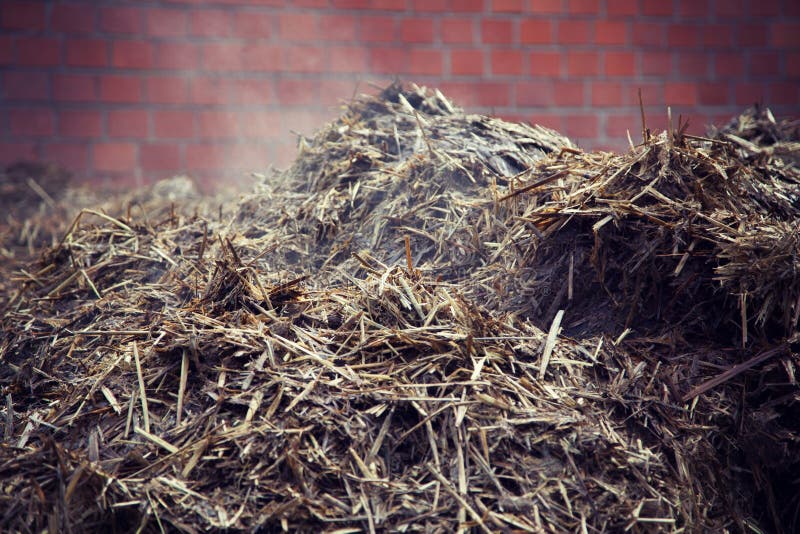 Dunghill stock photo. Image of heap, midden, agriculture - 50730864