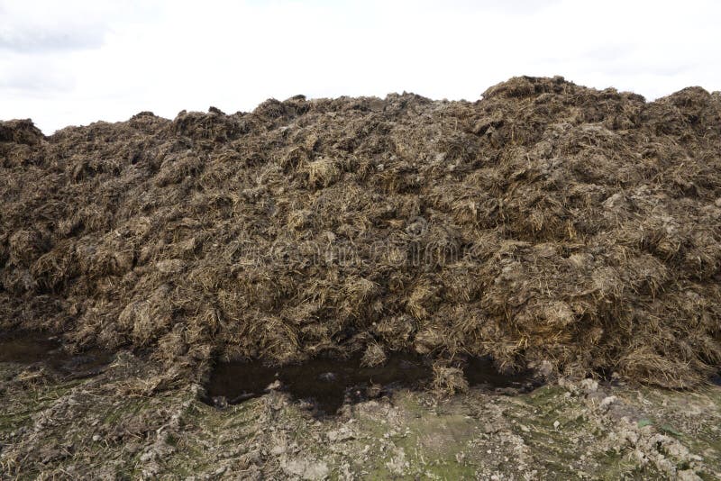 Dunghill stock image. Image of farmer, droppings, dung - 70822197