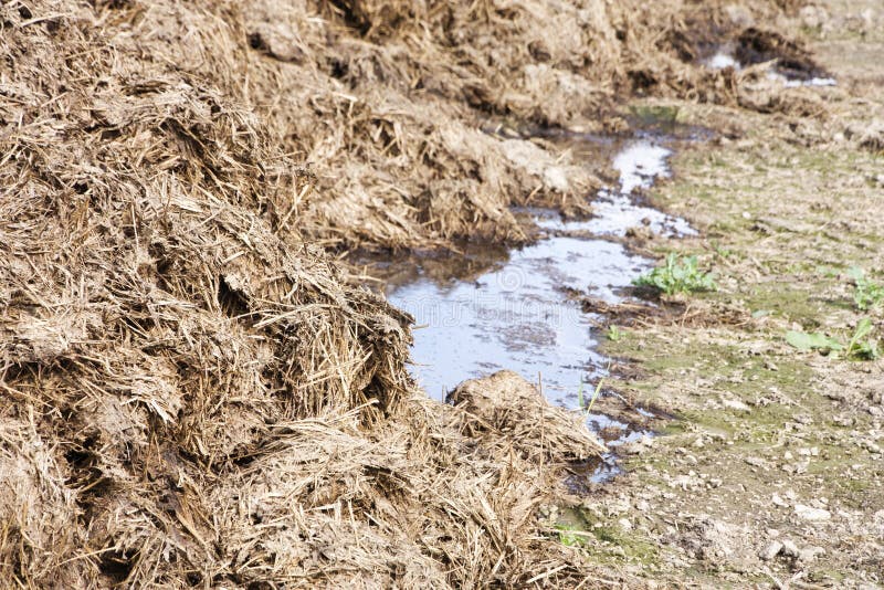 Dunghill stock image. Image of farm, earth, fertilizer - 70821971