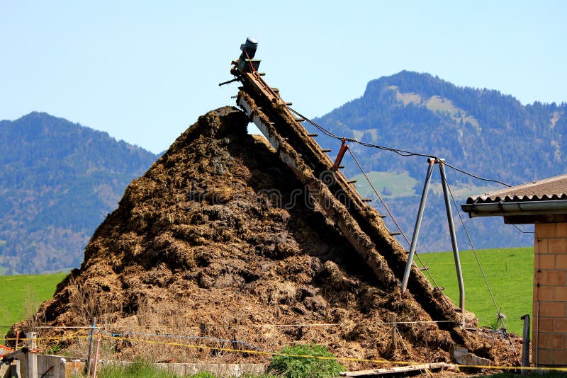 284 Brown Dunghill Stock Photos - Free & Royalty-Free Stock Photos from ...