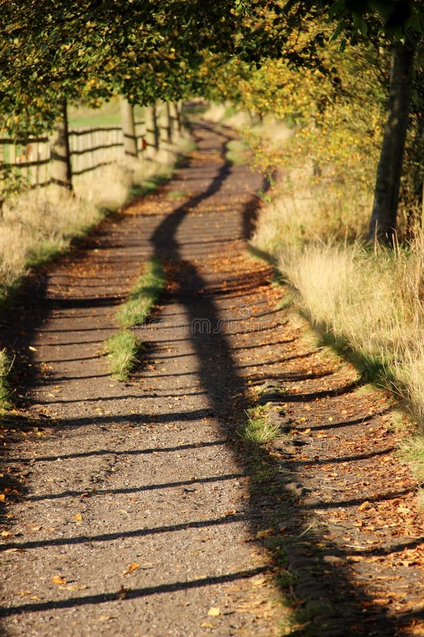 Dunham Massey Cheshire stock image. Image of shadows - 63446371