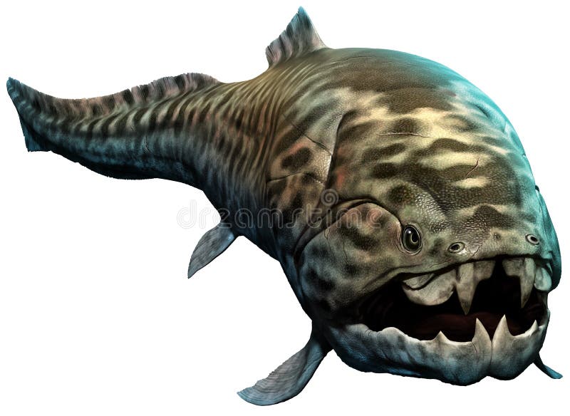 Dunkleosteus stock illustration. Illustration of devonian - 88184470