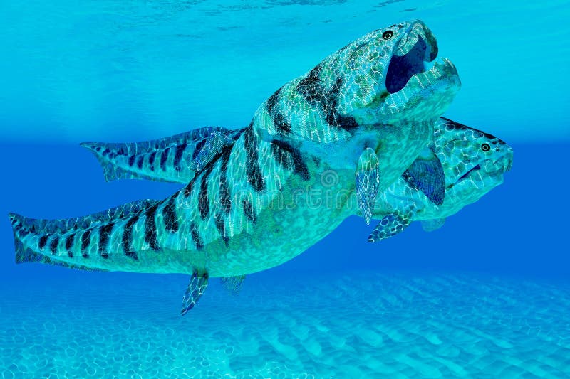 Devonian Period Underwater Plants