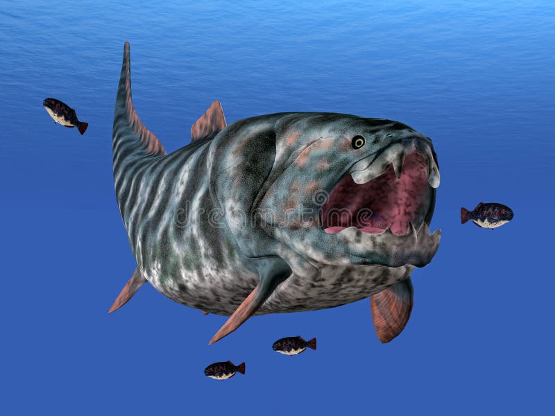 Dunkleosteus Size Comparison Dunkleosteus – Allosaurus Roar