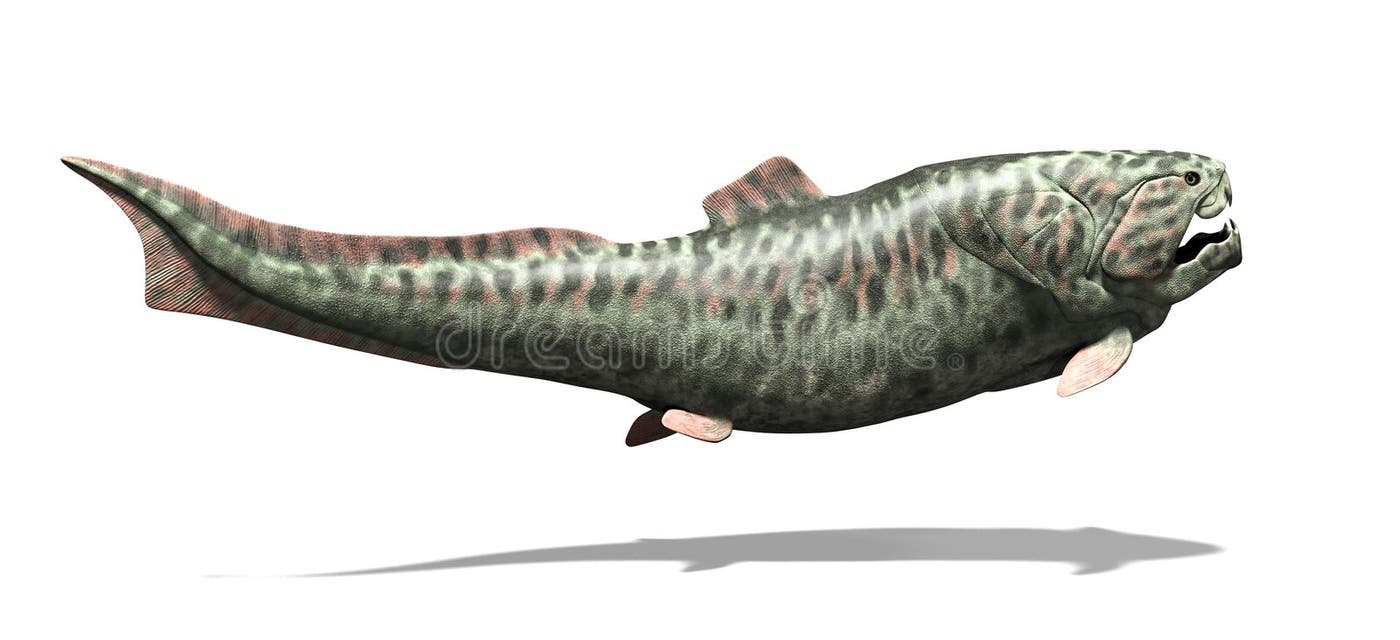 Devonian Stock Illustrations – 1,258 Devonian Stock Illustrations ...