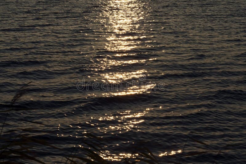 3,884 Dunkles Wasser Fotos - Kostenlose und Royalty-Free Stock-Fotos ...