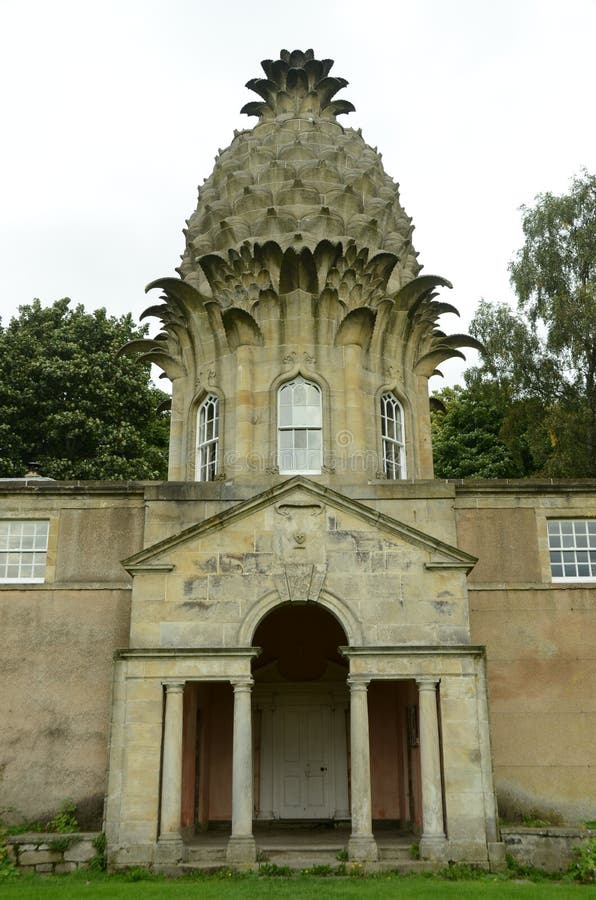 Dunmore Pineapple stock photo. Image of serrated, pineapple - 81322596