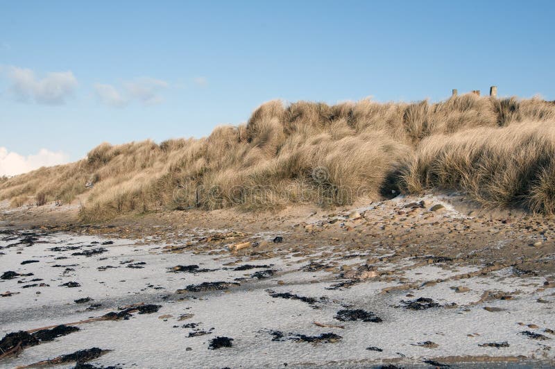 Dunnet Sand Dunes, Dunnet Beach,Caithness,Scotland,UK. Stock Image ...