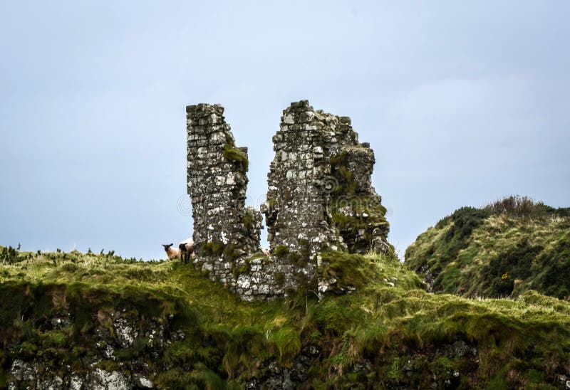 Dunseverick Castle stock photo. Image of ruins, cliff - 293534356