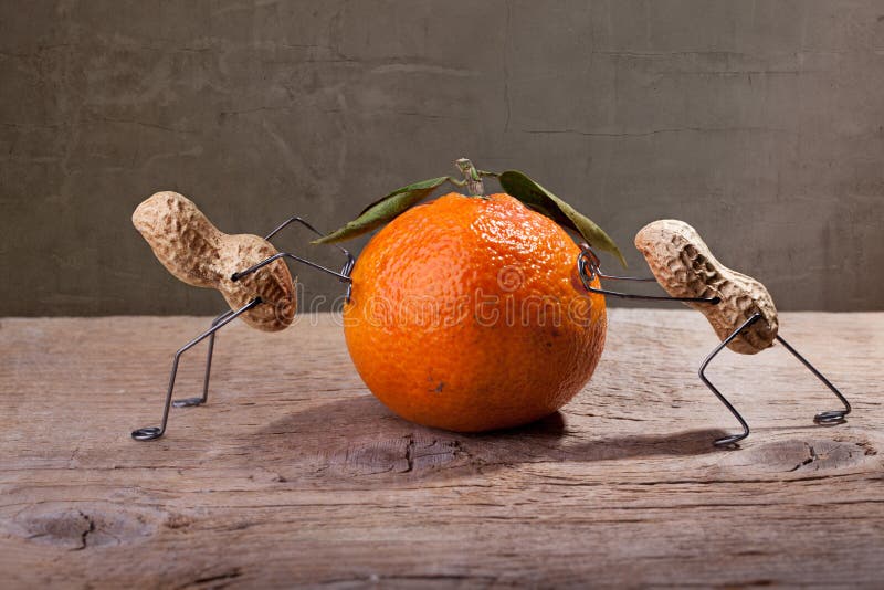 Dur labeur photo stock. Image du fruits, comique, modeler - 22729072