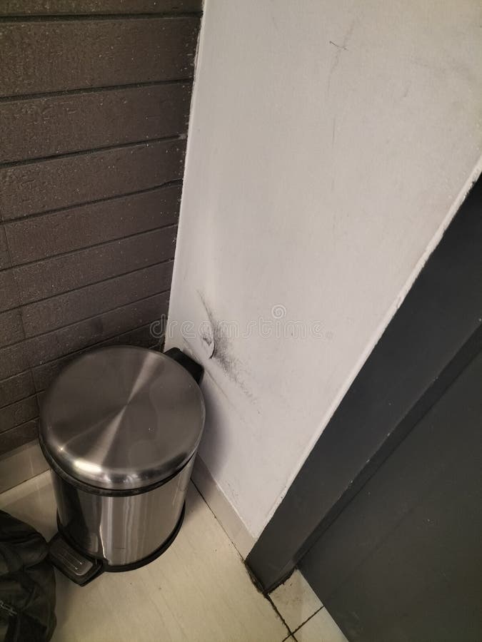 Durable Stainless Steel Dust Bin: a Sleek Solution for Waste Management ...