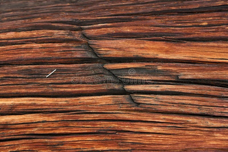 Charred wood texture stock image. Image of abstract - 239727407
