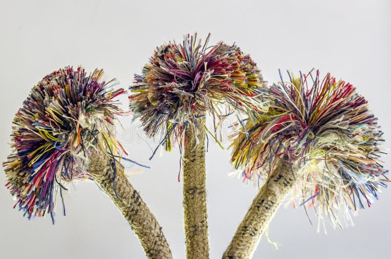 Durable, Threaded, Solid and Thick Sailor Rope Stock Photo - Image of ...