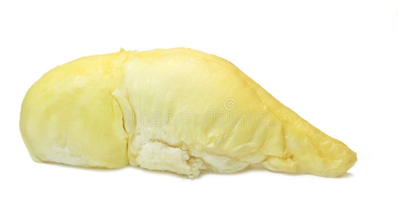 Durain stock image. Image of taste, durionaceae, fresh - 26081941