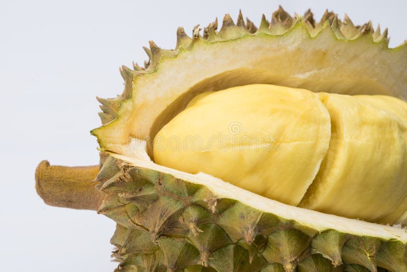 Durain Fruit on White Background Stock Photo - Image of ripe, durian ...