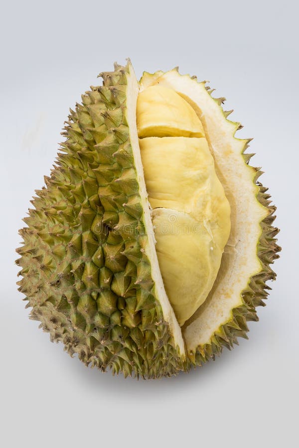 Durain Fruit on White Background Stock Image - Image of thailand ...