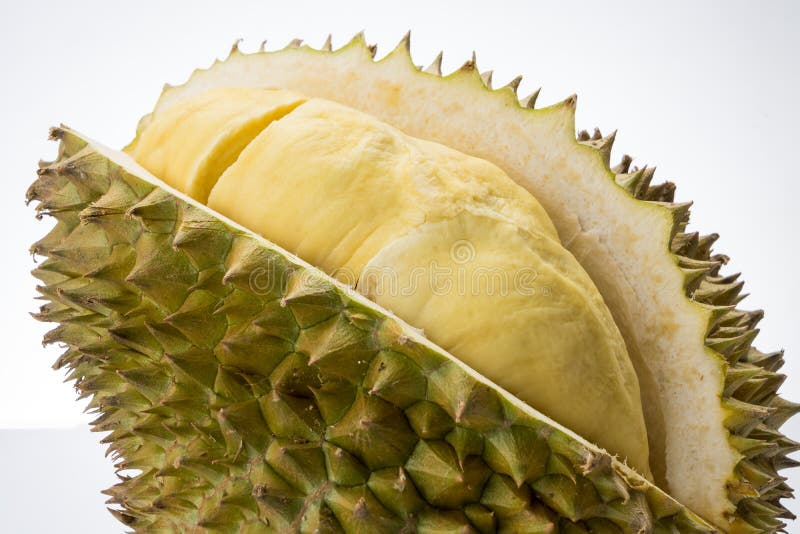 Durain Fruit on White Background Stock Image - Image of tropical ...
