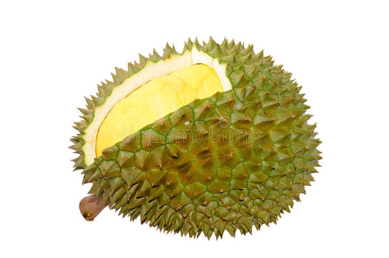 Durain on the White Background Stock Photo - Image of ripe, brown: 57342218