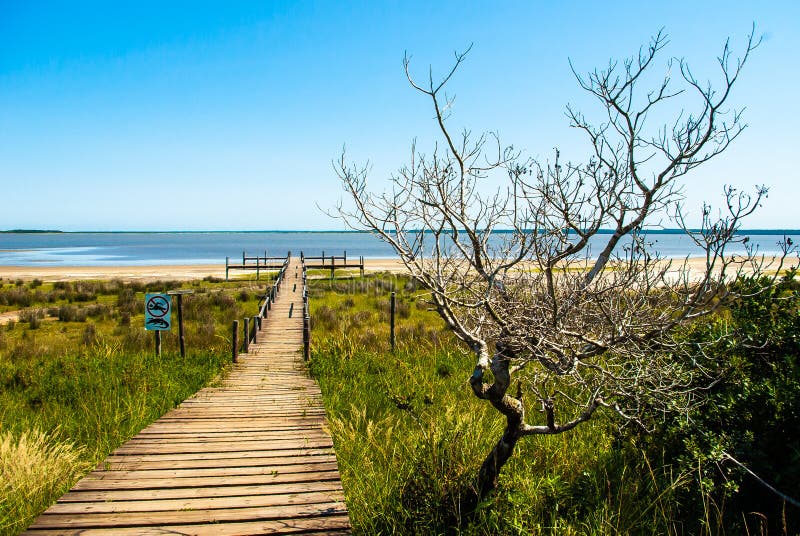 Durban Bay stock image. Image of point, southern, nature - 100252615