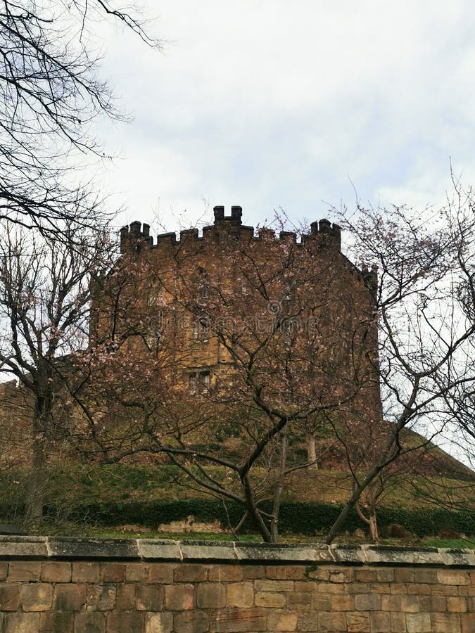 Durham Castle in Early Spring Stock Image - Image of blossom, durham ...
