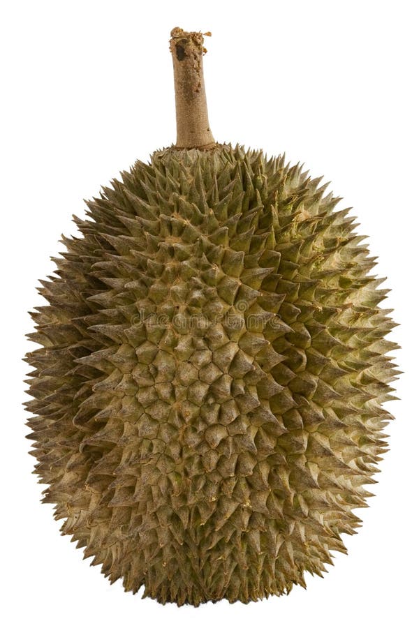 Fresh Apple stock photo. Image of fresh, antioxidant, round - 204958